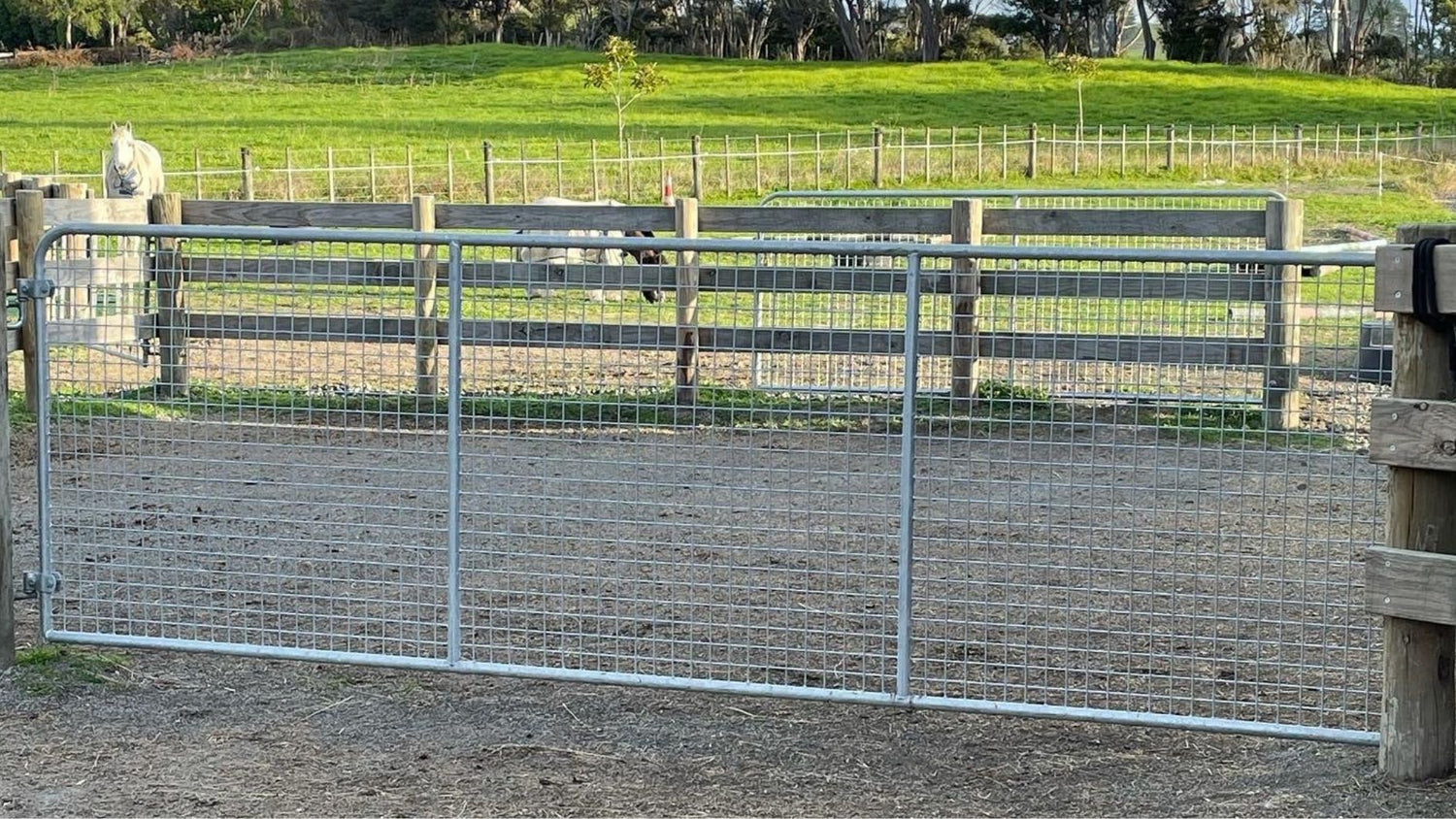 Horse Safe/ Mesh Equine Gates - FAQ – PEAK ROAD
